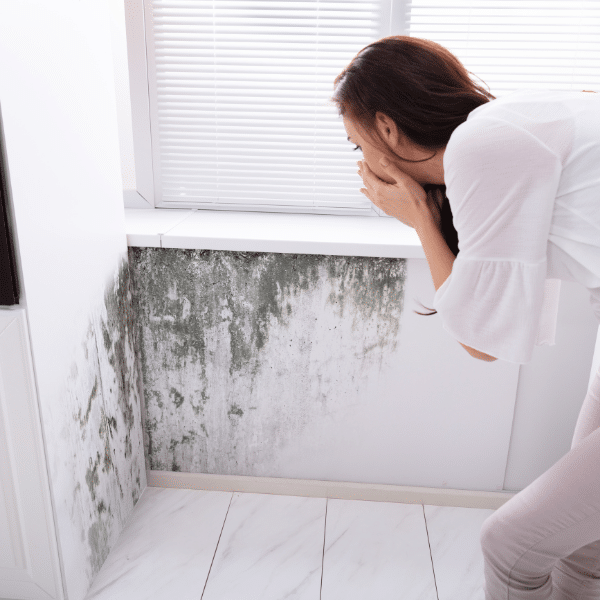 Mold After Water Damage - Risks, Prevention & Cleanup